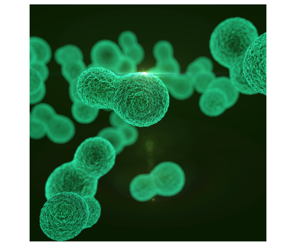 How Analyzing Histology Samples Leads to Diagnosis and Disease ...